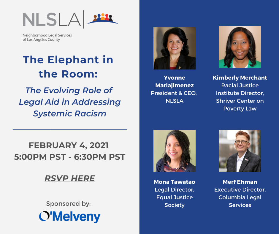 The Elephant in the Room: The Evolving Role of Legal Aid in Addressing ...