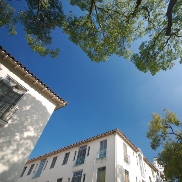 News & Press - NLSLA